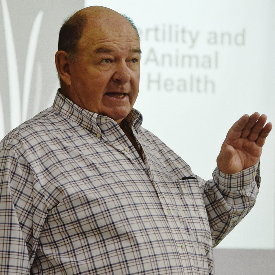 Green is not the only right colour for grass on pasture