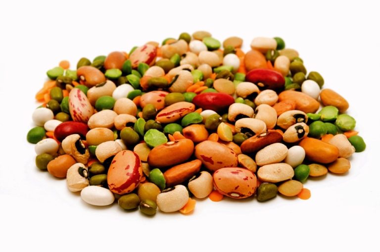 Pulse crops fight for consumer attention - Manitoba Co-operator