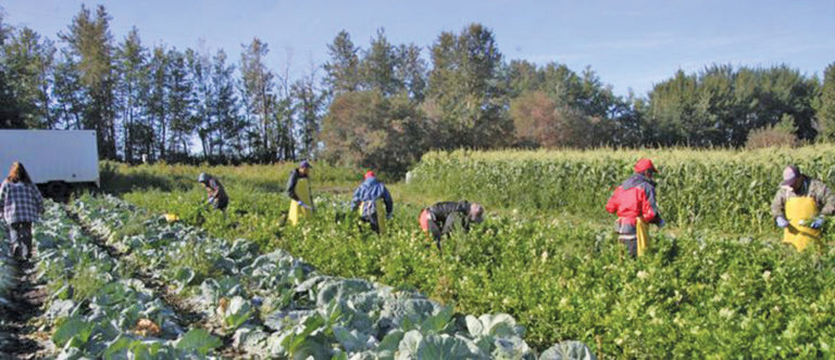 A long and interesting history for Hutterites in Manitoba