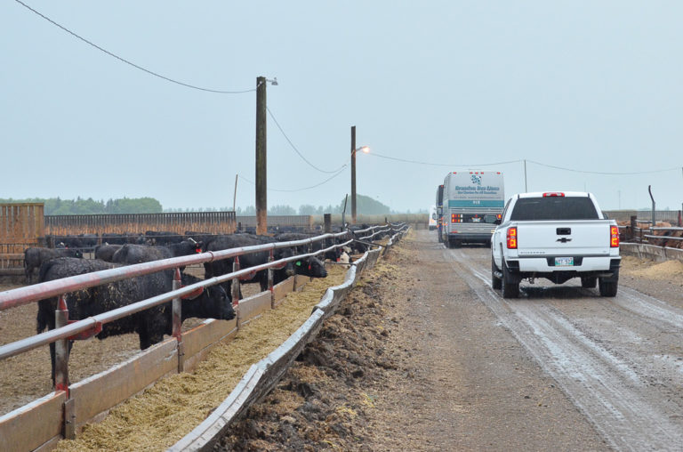 National Angus breeders get a taste of Brandon - Manitoba Co-operator