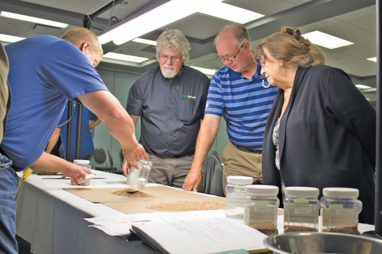 Grain commission launches major grain grading system review - Manitoba ...