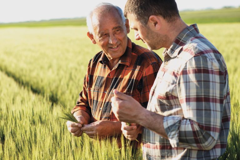 Statistics show senior farmers need safer practices - Manitoba Co-operator