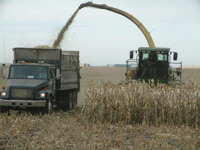 Silage is a growing trend for beef cattle operations - Manitoba Co-operator