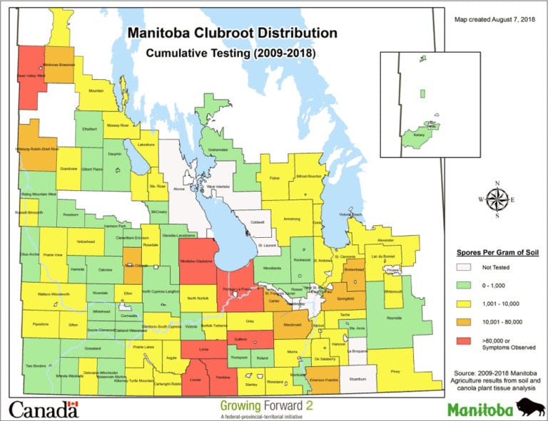 Eight new clubroot cases found in Manitoba canola this year - Manitoba ...