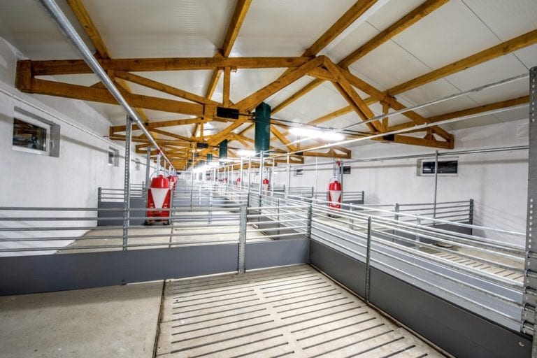 Hog barn workers carry drug-resistant bacteria even after they leave ...