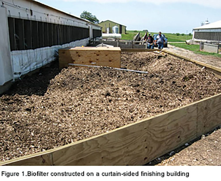 Biofilters a natural way to control hog barn odour - Manitoba Co-operator