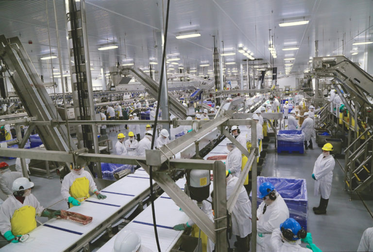 HyLife to hand over to Thai conglomerate - Manitoba Co-operator