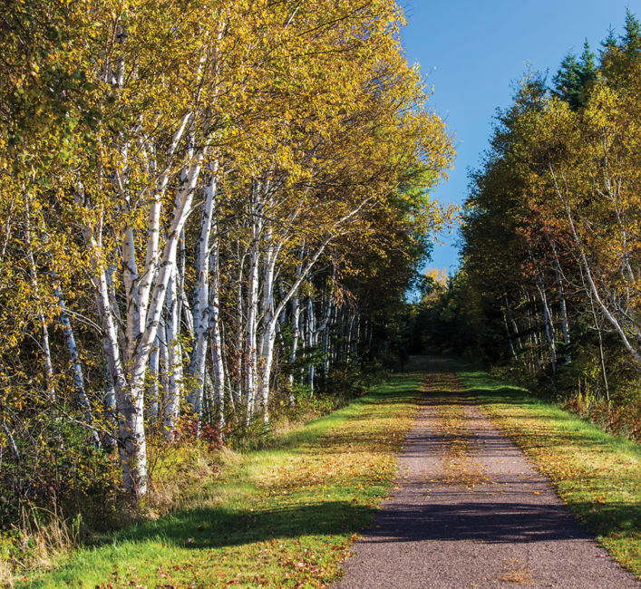 Bezte: Cool summer, cool fall? - Manitoba Co-operator