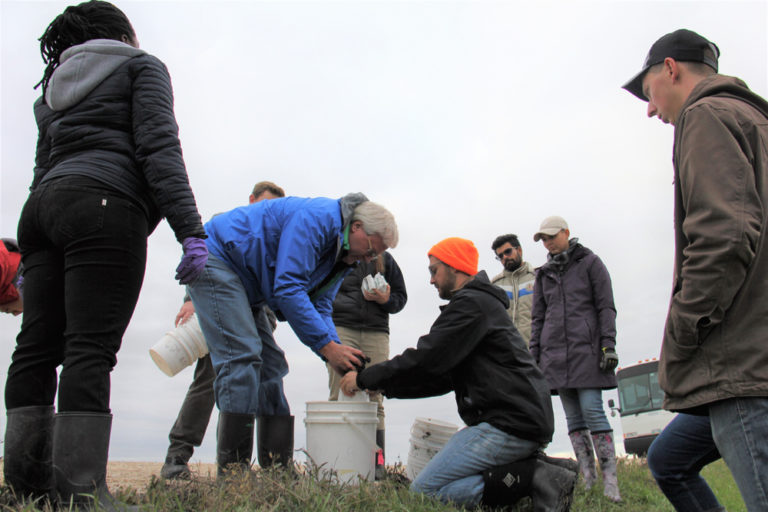 Revisiting the basics of soil sampling and testing - Manitoba Co-operator