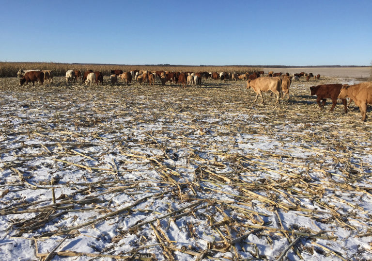 Manitoba rural municipalities put province on notice - Manitoba Co-operator