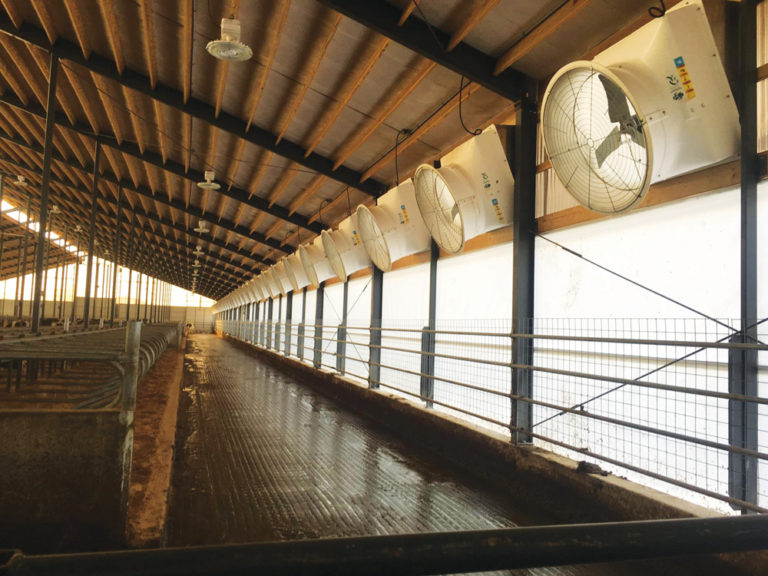 New hybrid barn solves ventilation challenge - Manitoba Co-operator