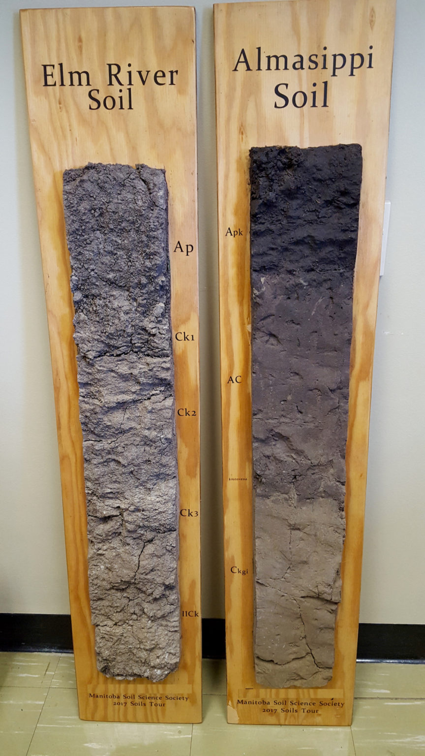Soil society modifies its Aug. 12 summer tour - Manitoba Co-operator