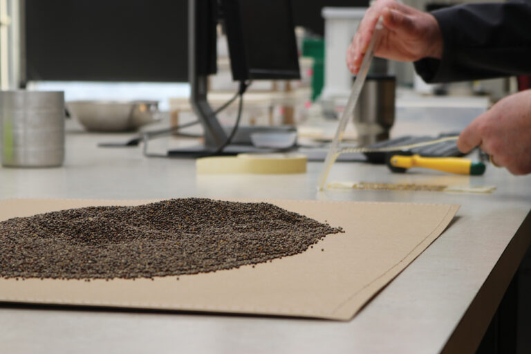 Second opinion on grain grade available: Canadian Grain Commission ...