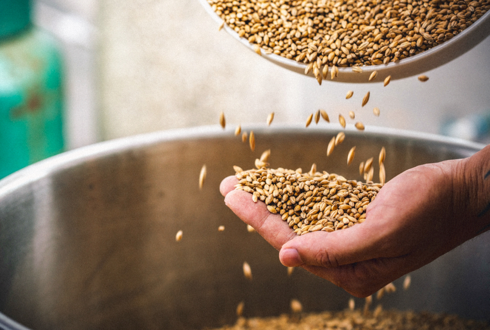 Canadian Wheat Exports Up So Far This Crop Year Manitoba Co operator canadian-wheat-exports-up-so-far-this-crop-year-manitoba-co-operator
