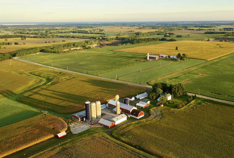 ‘Average’ farm size is an illusion - Manitoba Co-operator