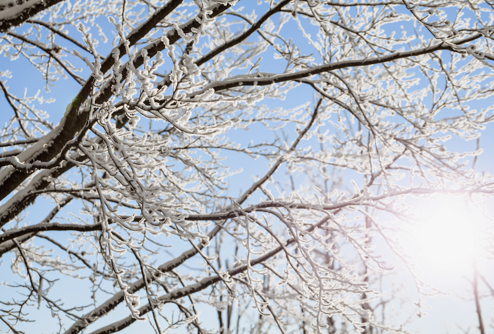 Most snows are light snows - Manitoba Co-operator