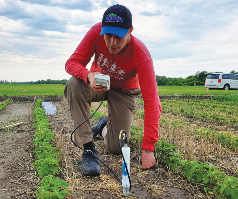 Cover crop survey reveals risks and benefits - Manitoba Co-operator