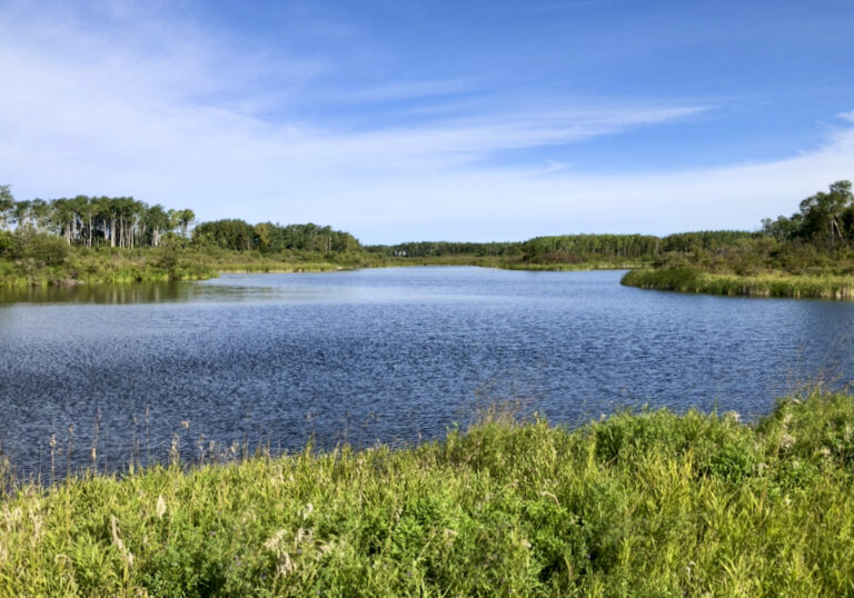 New report paints dire picture of Canadian freshwater systems ...