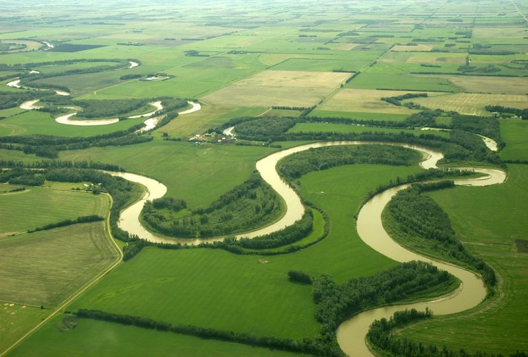 Native prairie restoration becomes a family dream brought to life ...