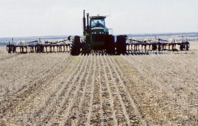 The common lumps and bumps of horses - Manitoba Co-operator