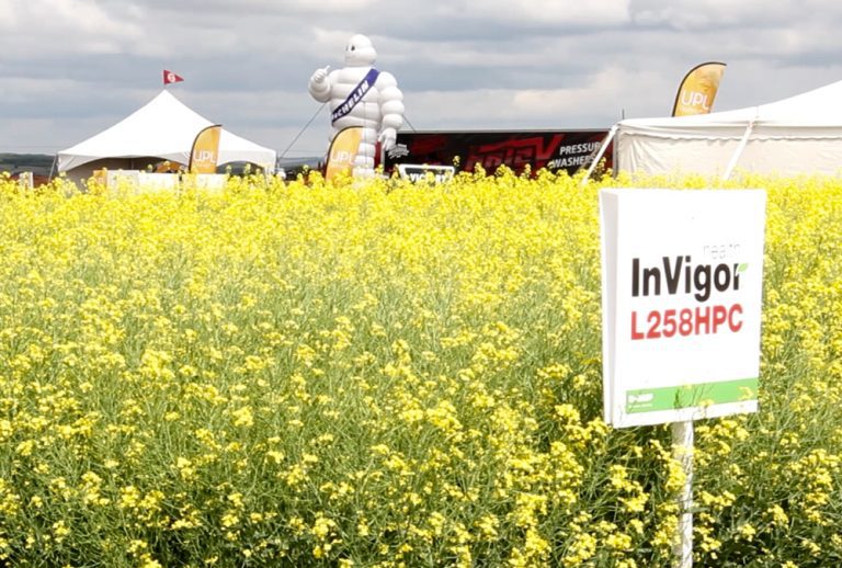 BASF announces InVigor seed treatment switch - Manitoba Co-operator