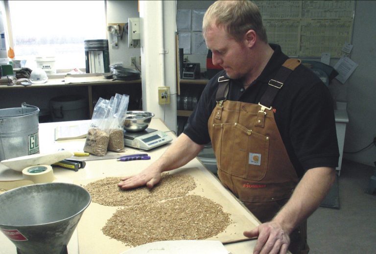 Grain commission changes advance grading dispute timeline - Manitoba Co ...