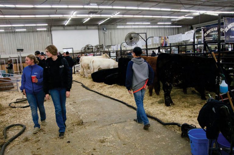 How stacking enterprises makes farms more profitable, efficient