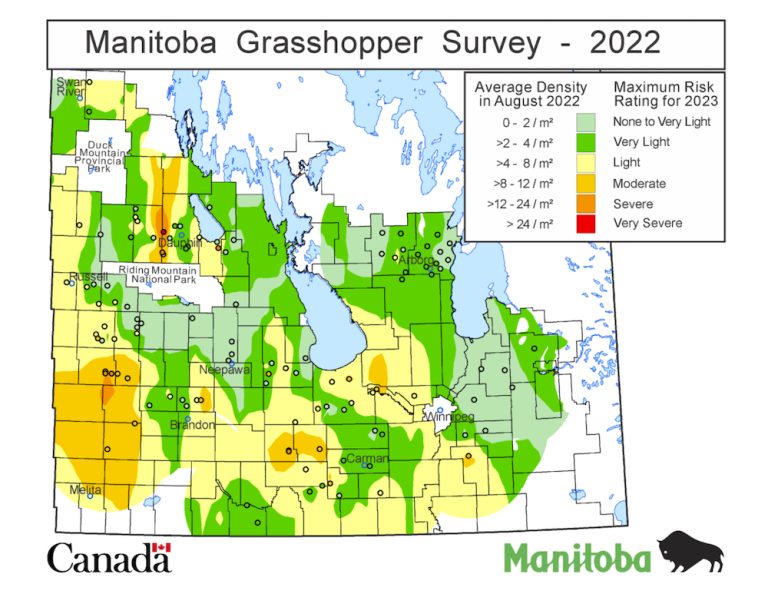 Grasshopper populations on the rise - Manitoba Co-operator