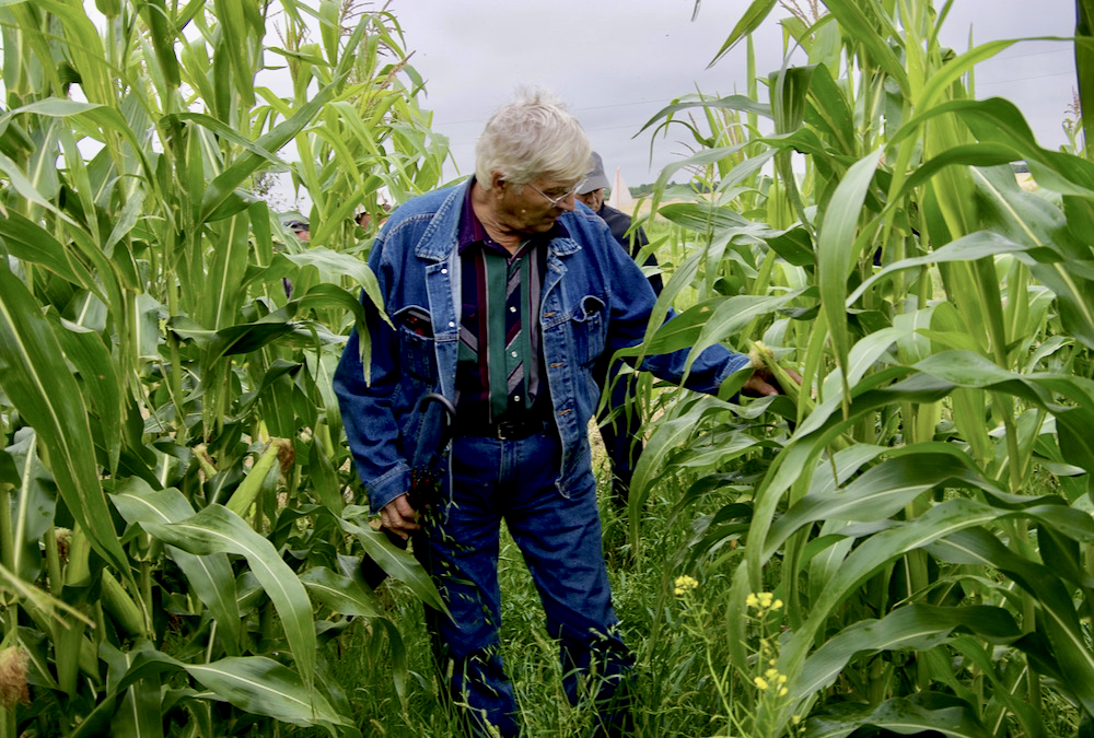 Manitoba Beef And Forages Joins Smart Farm Network Manitoba Co operator manitoba-beef-and-forages-joins-smart-farm-network-manitoba-co-operator