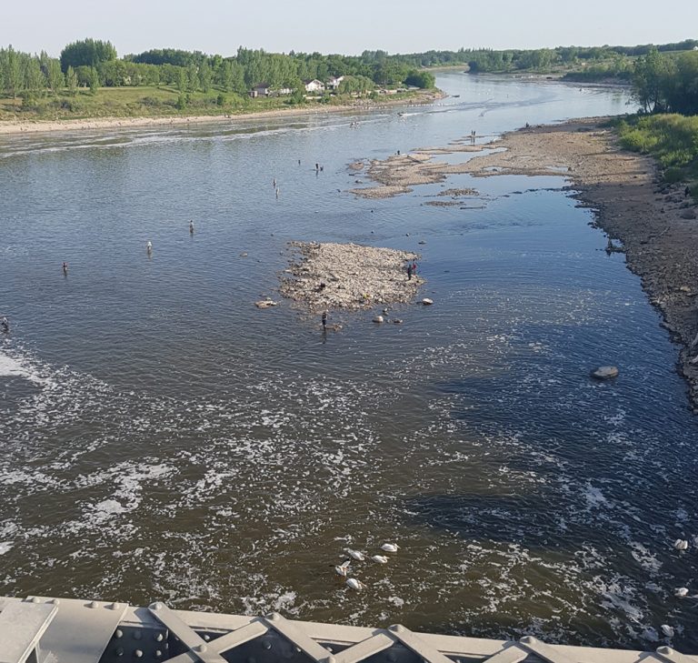 In praise of the unloved fish - Manitoba Co-operator