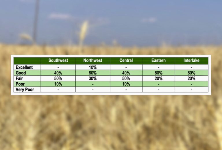 Winter wheat, fall rye harvest nears completion, waterhemp makes ...