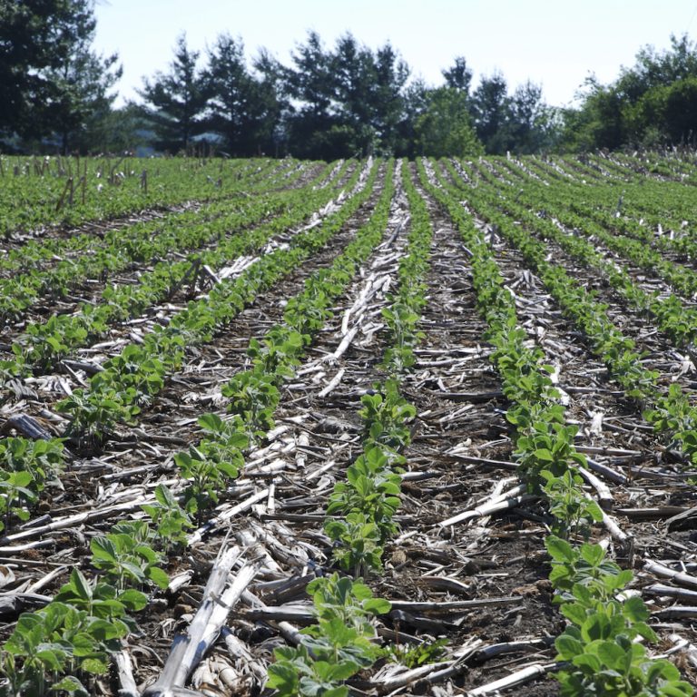 Plant breeding picks up the pace - Manitoba Co-operator