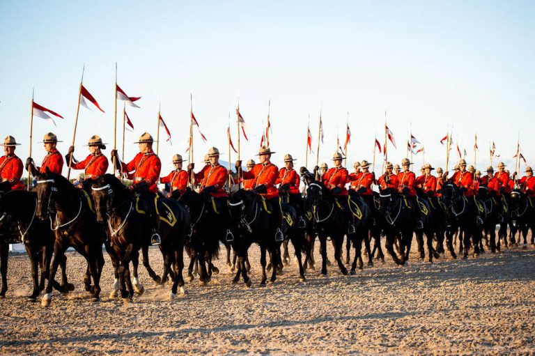 Mounts for the Mounties: Inside the RCMP’s in-house horse breeding ...