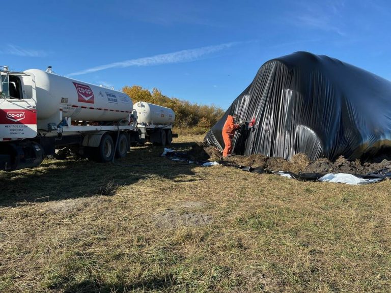 Better feed with anhydrous ammonia - Manitoba Co-operator
