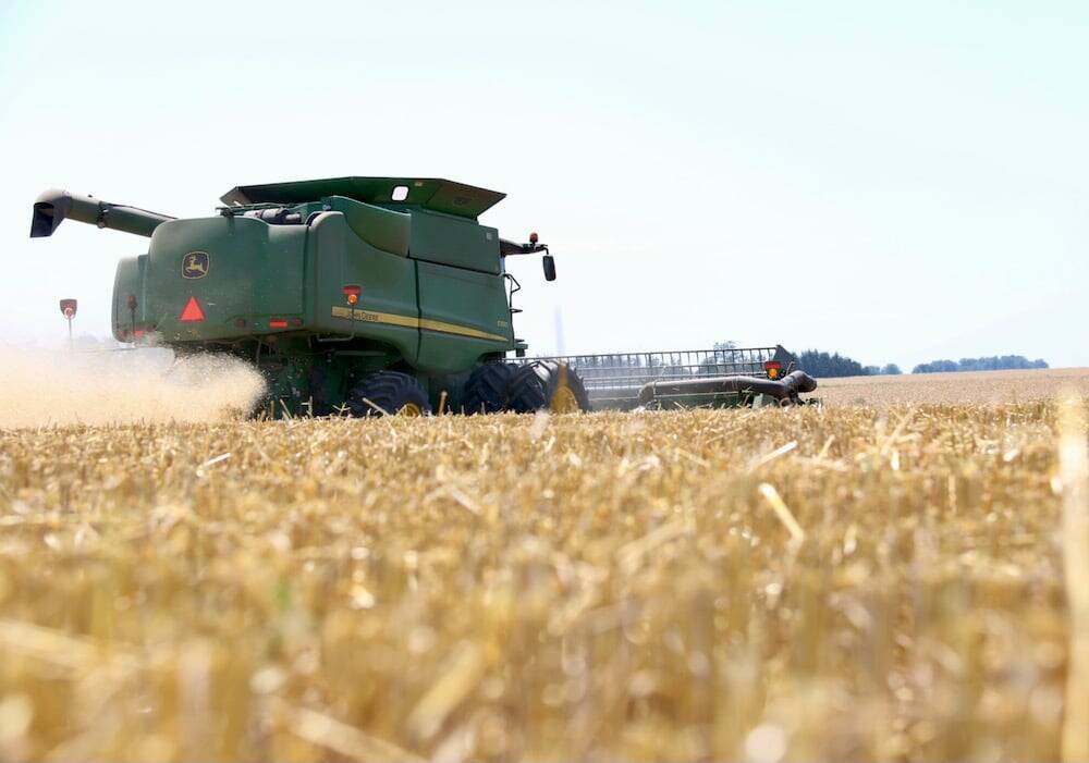 Know Your Wheat Yield Components For A Better Crop Manitoba Co Operator