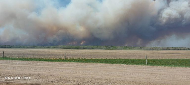 Manitoba auctions offer respite to fire-evacuated livestock - Manitoba ...