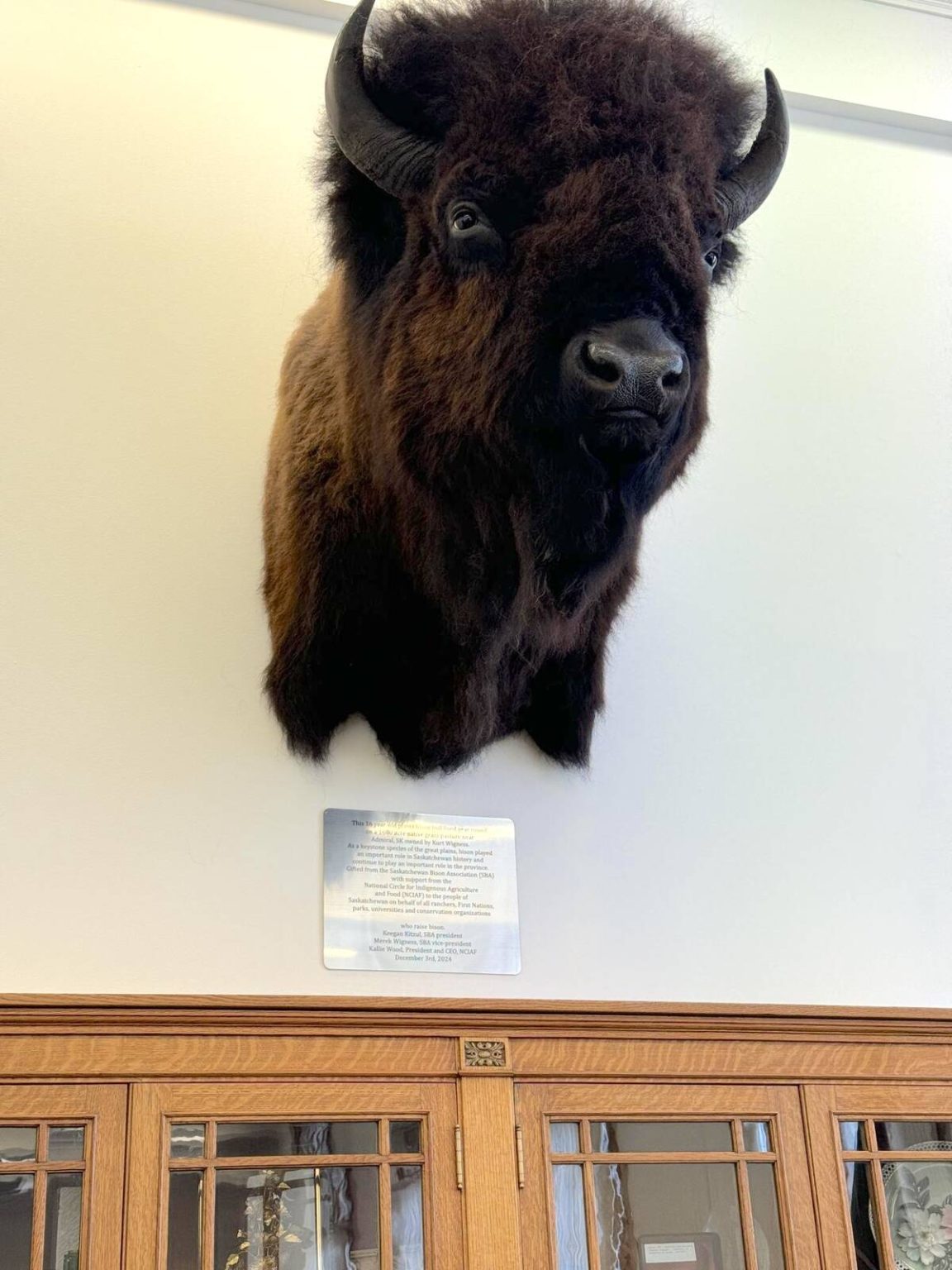 Bison sector deepens Canadian Indigenous ties - Manitoba Co-operator