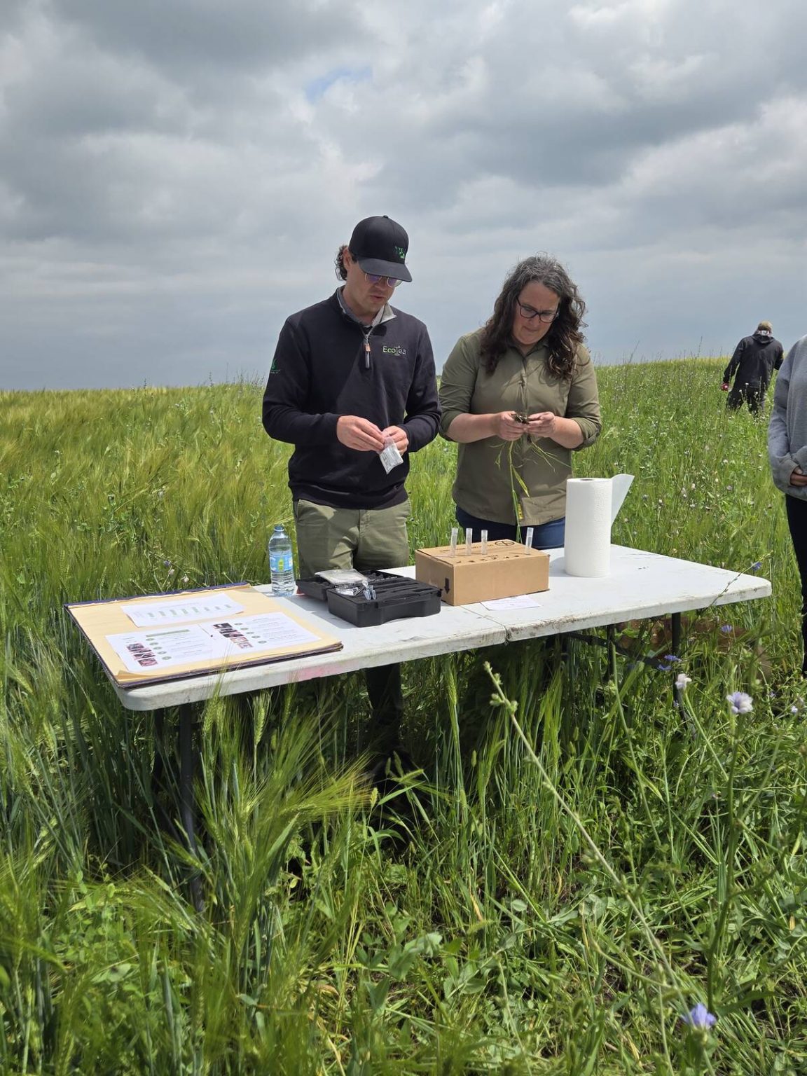 EcoTea microbial soil treatment gets stress tested at MBFI - Manitoba ...